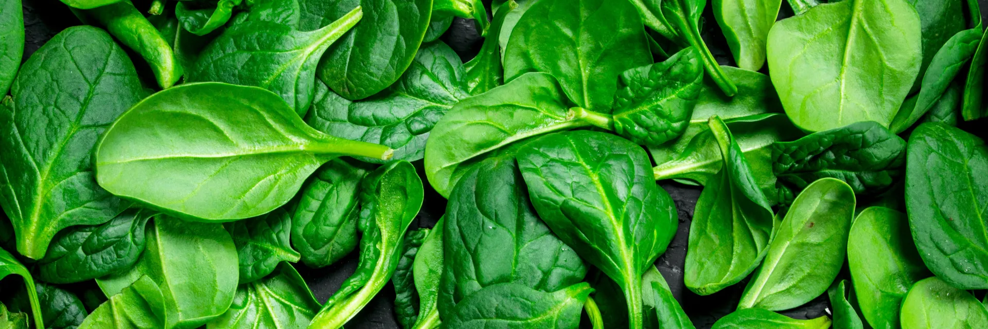 Comment préparer et choisir ses épinards? | Fleury Michon